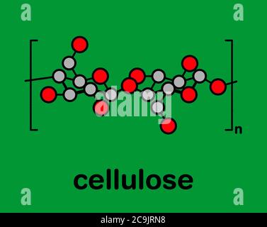 Cellulose, chemical structure. Main component of cotton fiber, wood ...