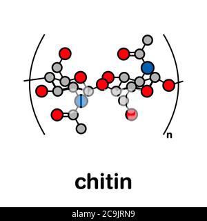 Chitin, chemical structure. Chitin is a polymer of N-acetylglucosamine ...
