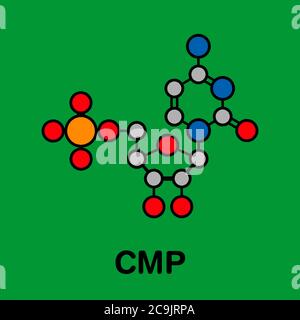 Cytidine monophosphate (CMP, cytidylate) RNA building block molecule ...