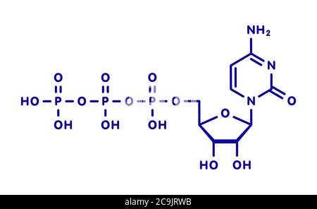 Cytidine RNA building block molecule. Blue skeletal formula on white ...