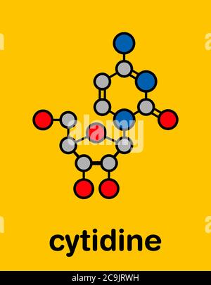 Cytidine RNA building block molecule. Atoms are represented as spheres ...