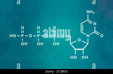 Cytidine triphosphate (CTP) RNA building block molecule. Also functions ...