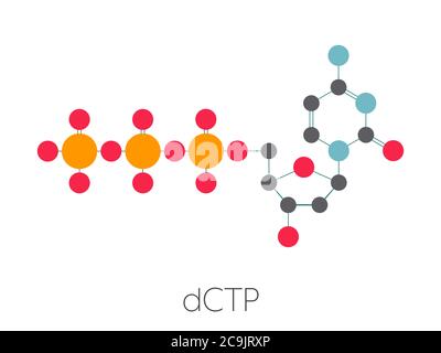 Deoxycytidine triphosphate (dCTP) nucleotide molecule. DNA building ...