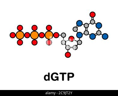 Deoxyguanosine triphosphate (dGTP) nucleotide molecule. DNA building ...