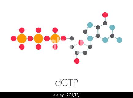Deoxyguanosine triphosphate (dGTP) nucleotide molecule. DNA building ...