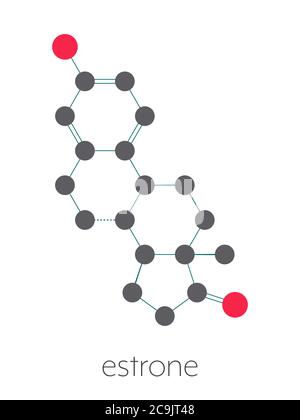 Estrone Molecular Model Stock Photo - Alamy