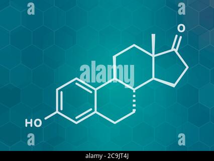 Estrone (oestrone) human estrogen hormone molecule. Blue skeletal ...