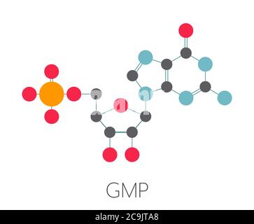 Guanosine monophosphate (GMP, guanylic acid) RNA building block ...