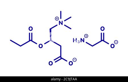 GPLC (glycine propionyl-L-carnitine) nutritional supplement molecule ...