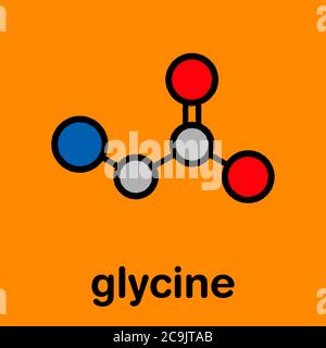 Glycine (Gly, G) amino acid molecule. Stylized skeletal formula ...
