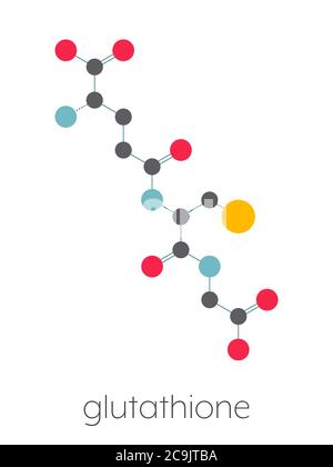 Glutathione (oxidized glutathione, GSSG) molecule. Stylized skeletal ...