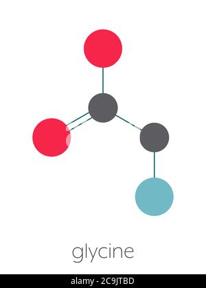 Glycine (Gly, G) amino acid molecule. Stylized skeletal formula ...