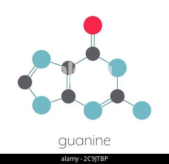Guanine (G) purine nucleobase molecule. Base present in DNA and RNA ...