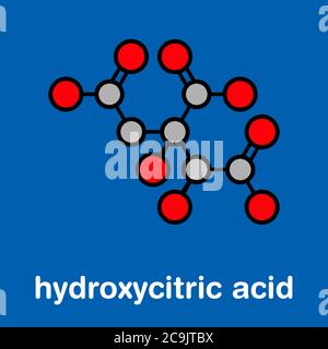 Hydroxycitric acid (HCA, hydroxycitrate) molecule. Used as weight loss ...