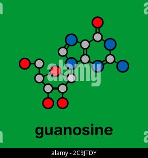 Guanosine purine nucleoside molecule. Important component of GTP, GDP ...