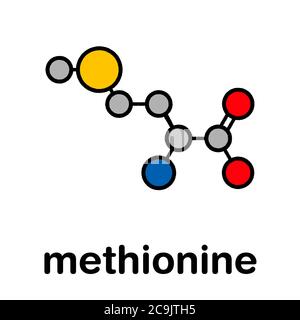 Methionine (L-methionine, Met, M) amino acid molecule. 3D rendering ...