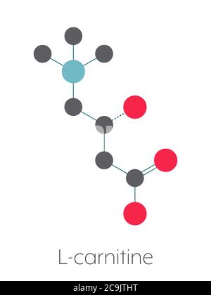Carnitine food supplement molecule. Stylized skeletal formula (chemical ...
