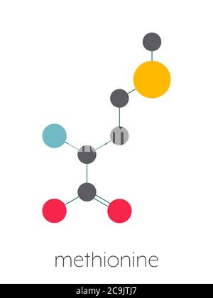 Methionine (L-methionine, Met, M) amino acid molecule. 3D rendering ...