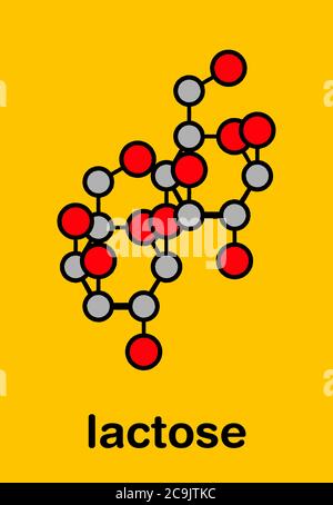 Chemical structure of lactose, a milk sugar molecule. Lactose is the ...