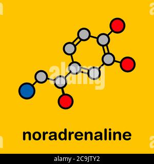 Norepinephrine (noradrenaline, norepi) hormone and neurotransmitter ...