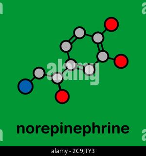 Norepinephrine (noradrenaline, norepi) hormone and neurotransmitter ...