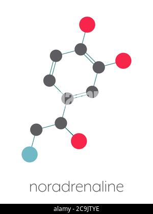 Norepinephrine (noradrenaline, norepi) hormone and neurotransmitter ...