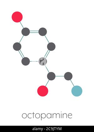 Octopamine stimulant drug molecule (sympathomimetic agent). Stylized ...