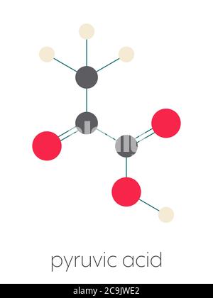 Pyruvic acid (pyruvate) molecule. Important intermediate in a number of ...