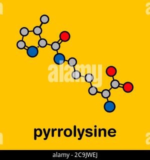 Pyrrolysine (l-pyrrolysine, Pyl, O) amino acid molecule. Skeletal ...