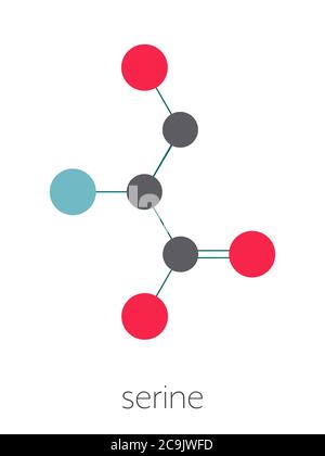 Serine (l-serine, Ser, S) amino acid molecule. 3D rendering. Still life ...