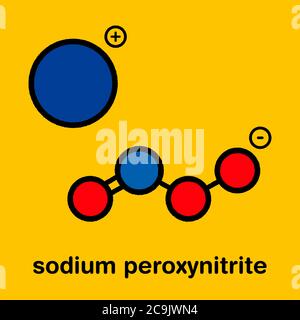 Peroxynitrite (sodium) reactive nitrogen species molecule. Formed by ...