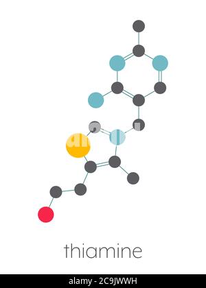Vitamin B1, molecular model. The chemical formula for vitamin B1, also ...