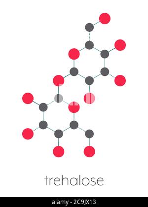 Trehalose (mycose, tremalose) sugar molecule. Skeletal formula Stock ...