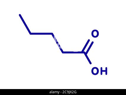Valeric acid, pentanoic acid or valerate molecule. Molecular model. 3D ...