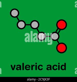 Valeric acid, pentanoic acid or valerate molecule. Skeletal chemical ...