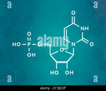 Uridine monophosphate (UMP, uridylic acid) nucleotide molecule ...