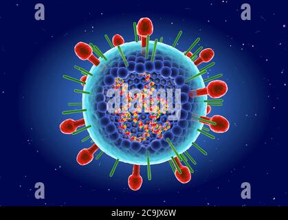 Human Respiratory syncytial virus (HRSV). Cut-away illustration showing ...