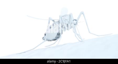 Mosquito, computer illustration Stock Photo - Alamy
