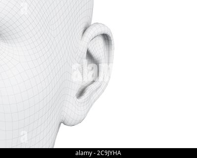 Wireframe ear, illustration Stock Photo - Alamy