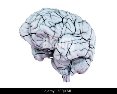 Broken human brain, illustration Stock Photo - Alamy
