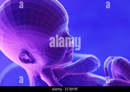 Human foetus anatomy at week 24, illustration Stock Photo - Alamy