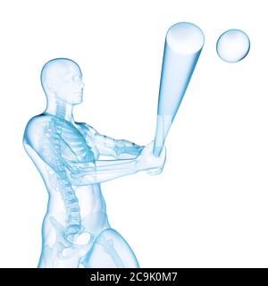 Baseball player skeleton - 3D illustration of male human skeleton ...