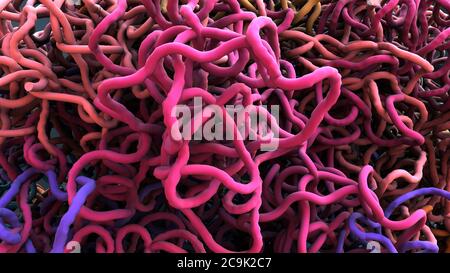 Chromatin in cell nucleus, illustration. Chromatin is the condensed ...