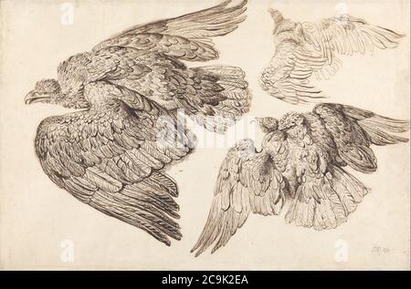James Ward - Eagles Stock Photo - Alamy