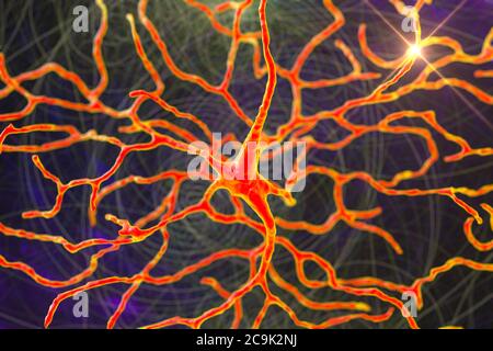 Retinal neuron, computer illustration. This neuron plays a crucial role ...