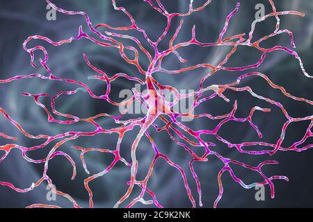 Retinal neuron, computer illustration. This neuron plays a crucial role ...