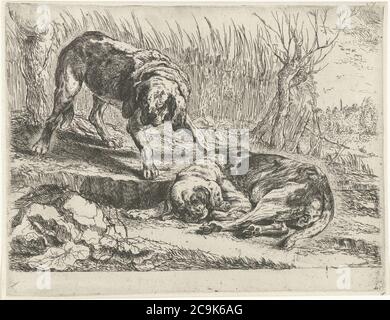 Jan Fyt - Two dogs (2 Stock Photo - Alamy