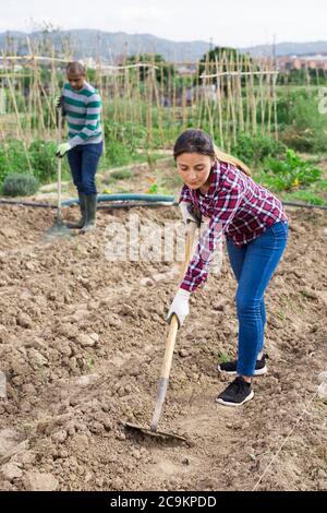 Woman professional gardener using mattock during working Stock Photo ...