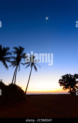 Silhouette of a tree and sunset Darwin Northern Territory Australia ...