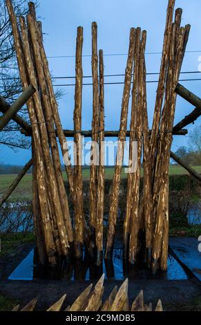 Preserving hop poles made of chestnut wood in creosote to preserve them ...